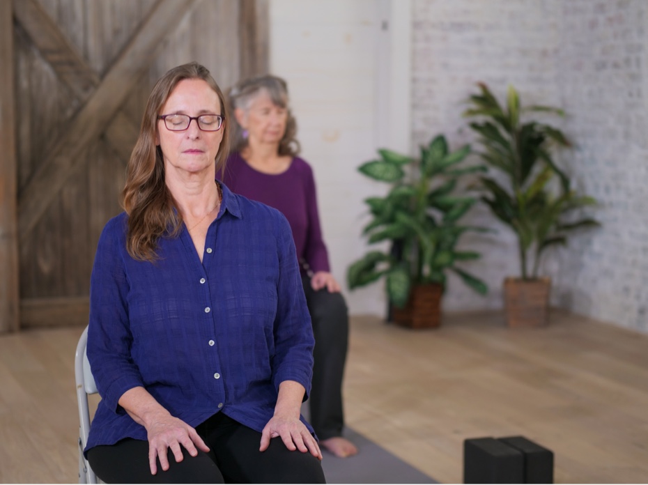 Yoga and Meditation Teacher Training - Himalayan Institute